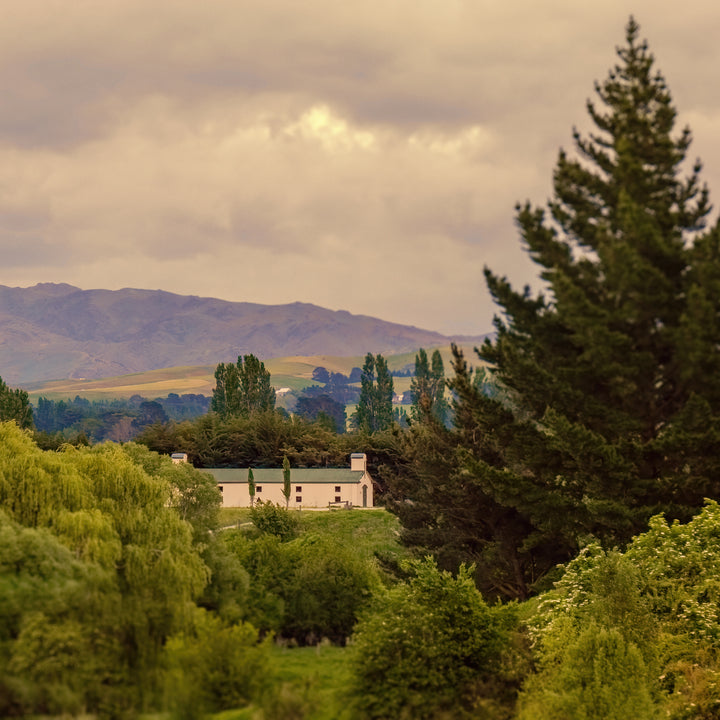 Dancing Water Winery, New Zealand – DWWNZ